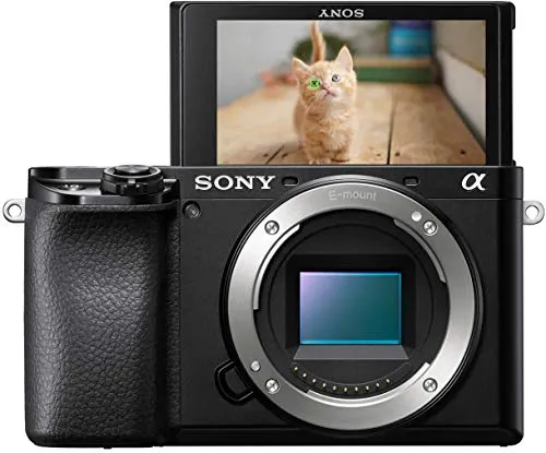 Sony Alpha 6100 Sony - Full Review ⭐
